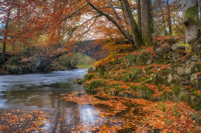 Shooting Autumn in the Lakes Part 2 – The Lightweight Photographer