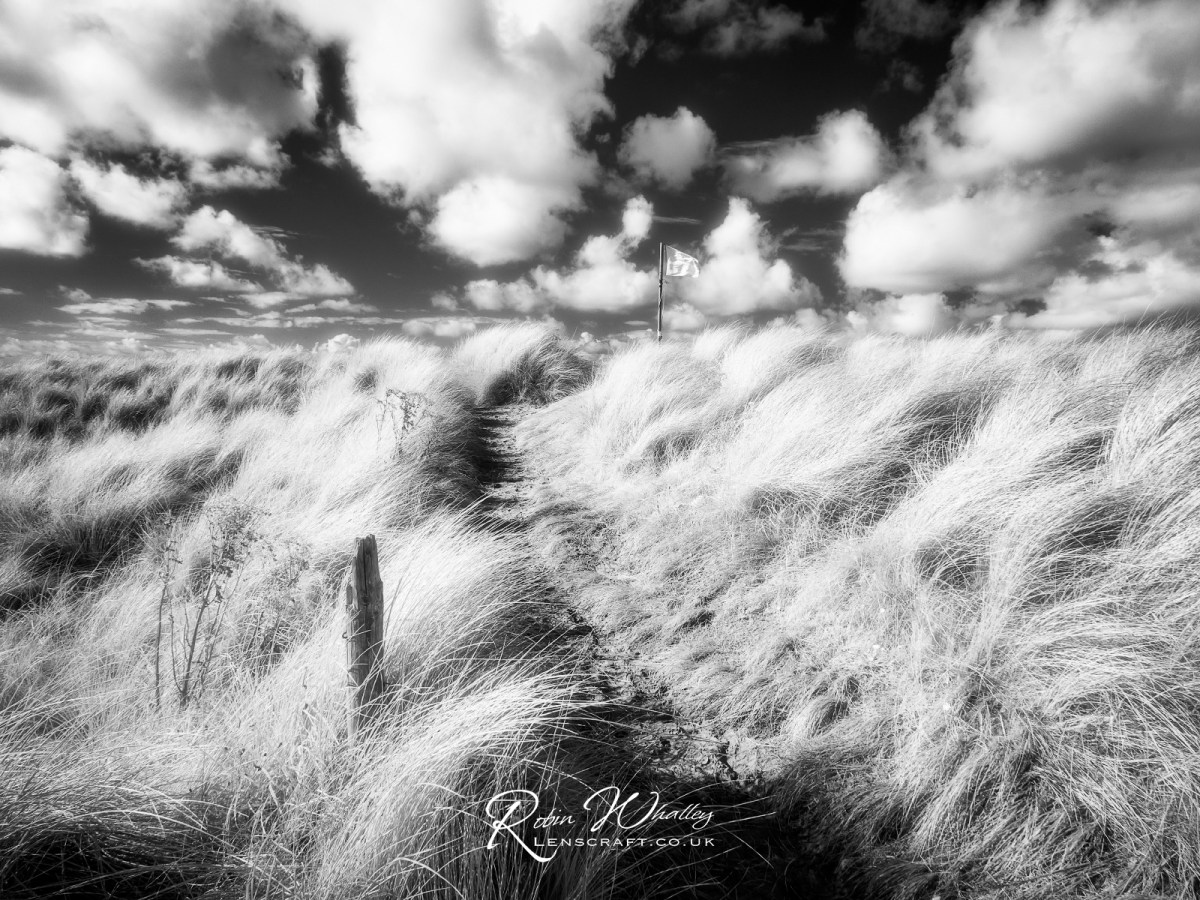 Infrared Landscape Photography Workflow and Image Processing Tips – The ...