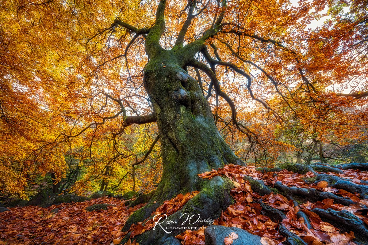 How A Camera Changed My Approach To Landscape Photography – The ...